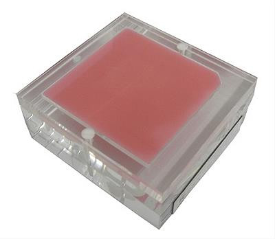 Fantoma Mamográfico de Acreditação ACR Phantom